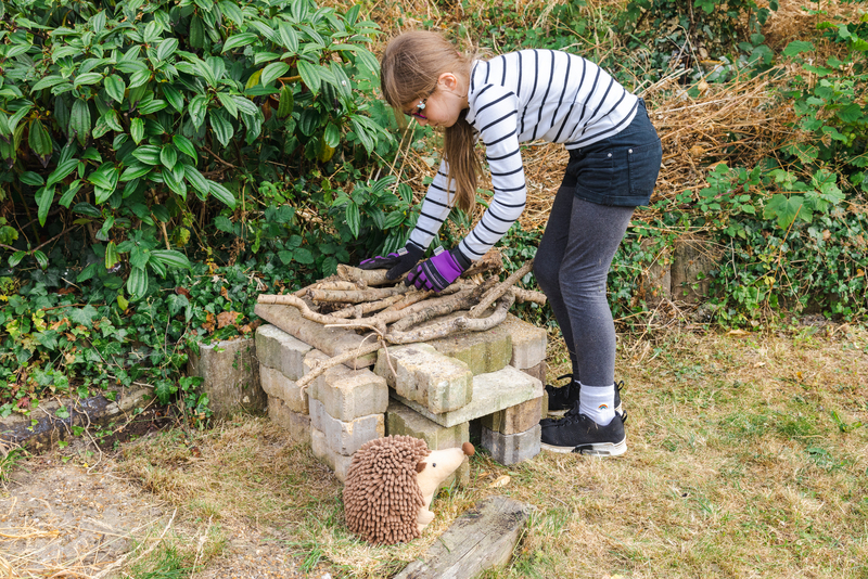 RSPCA Education - Lessons and Activity Library - Education - rspca.org.uk